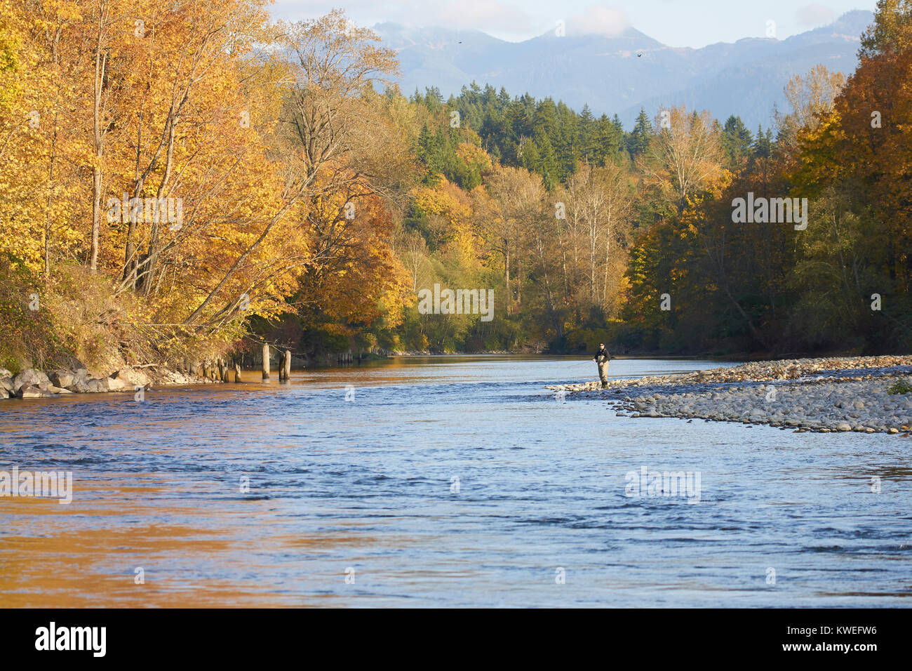 a bend in the snoqualmie river near fall city washington state with ...