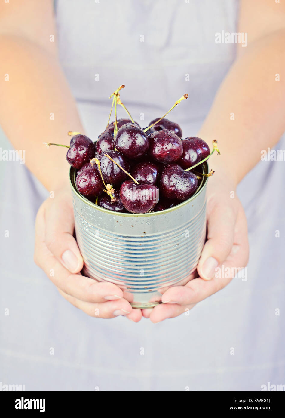 Cherries in womens hand hi-res stock photography and images - Alamy