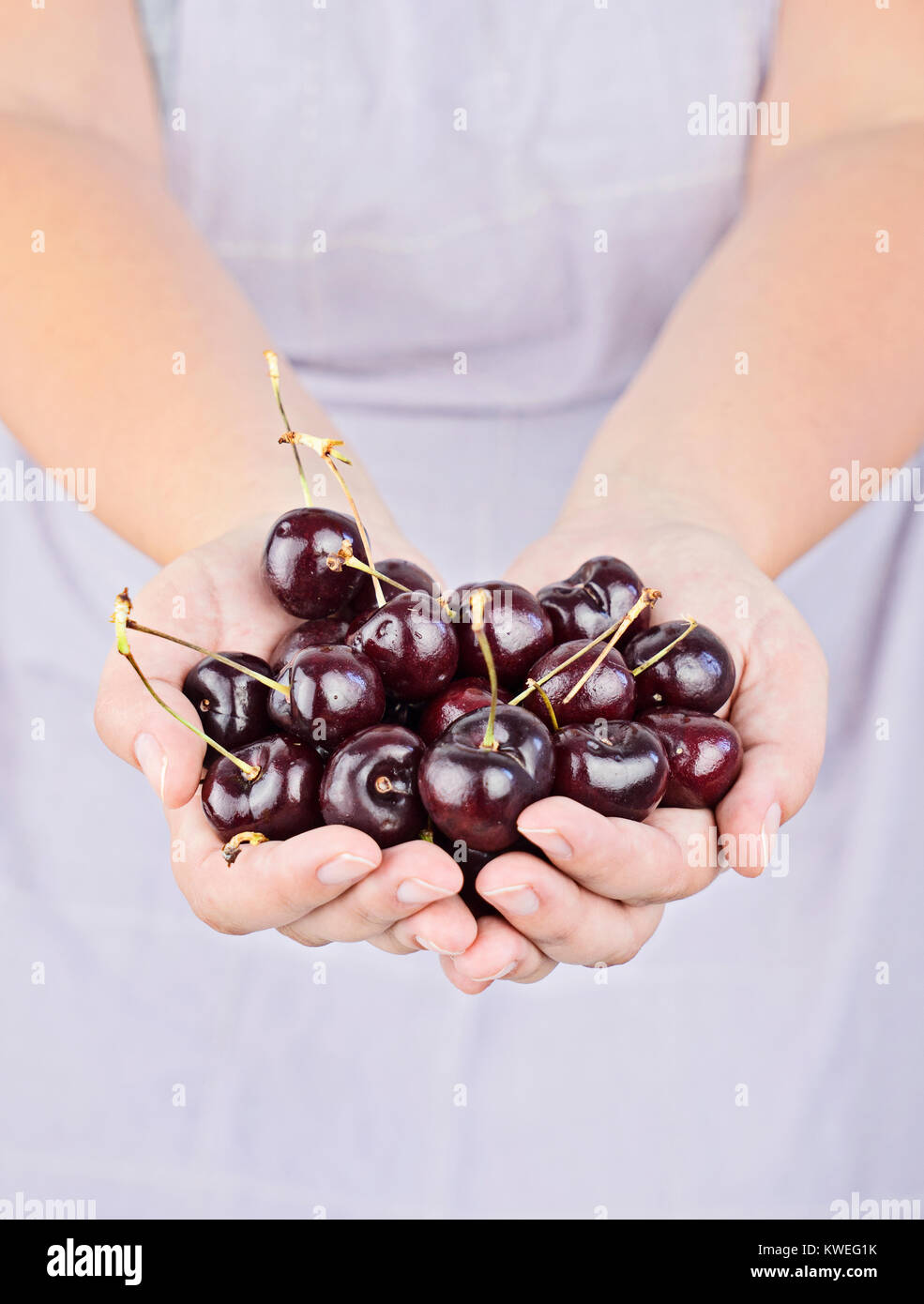 Cherries in womens hand hi-res stock photography and images - Alamy