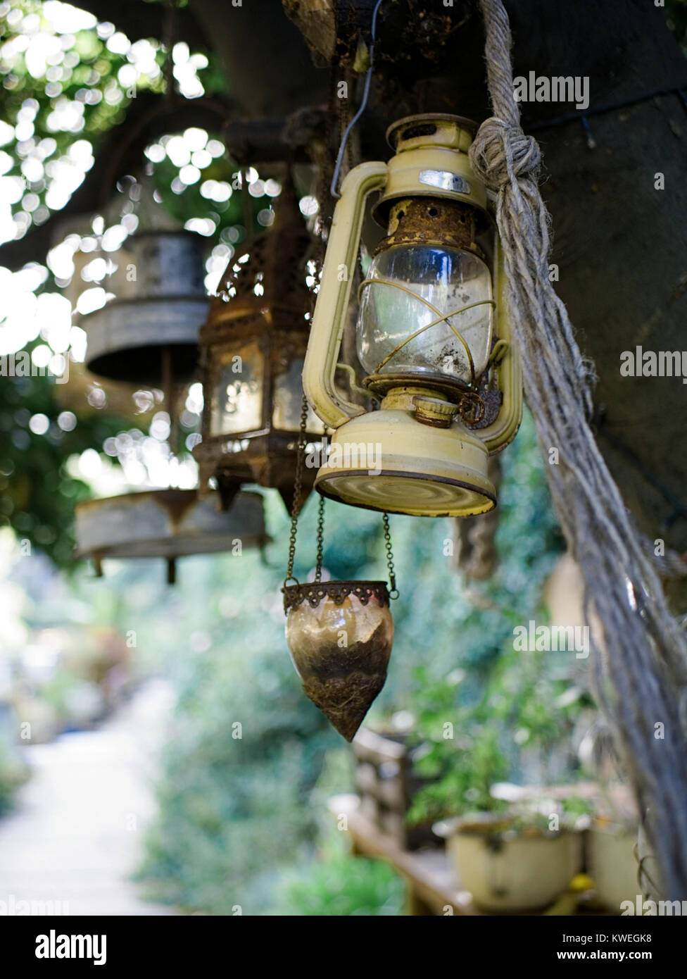 Antique Ship Lamps / Lanterns hanging down from a Tree Stock Photo - Alamy