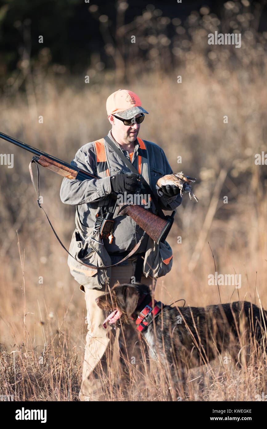 A quail hunter in Kanas on a late autumn afternoon Stock Photo - Alamy