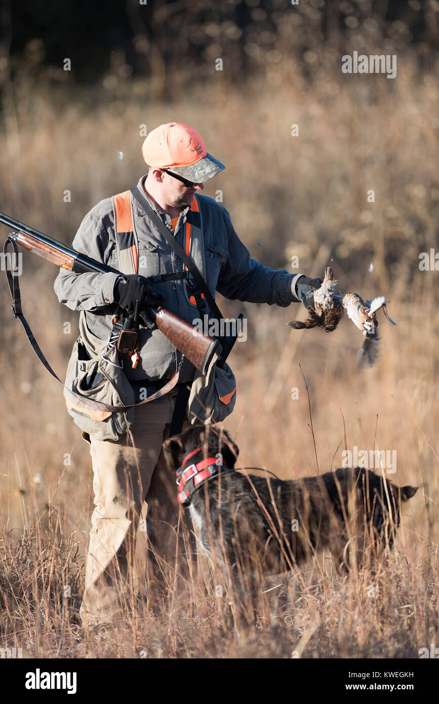 A quail hunter in Kanas on a late autumn afternoon Stock Photo - Alamy