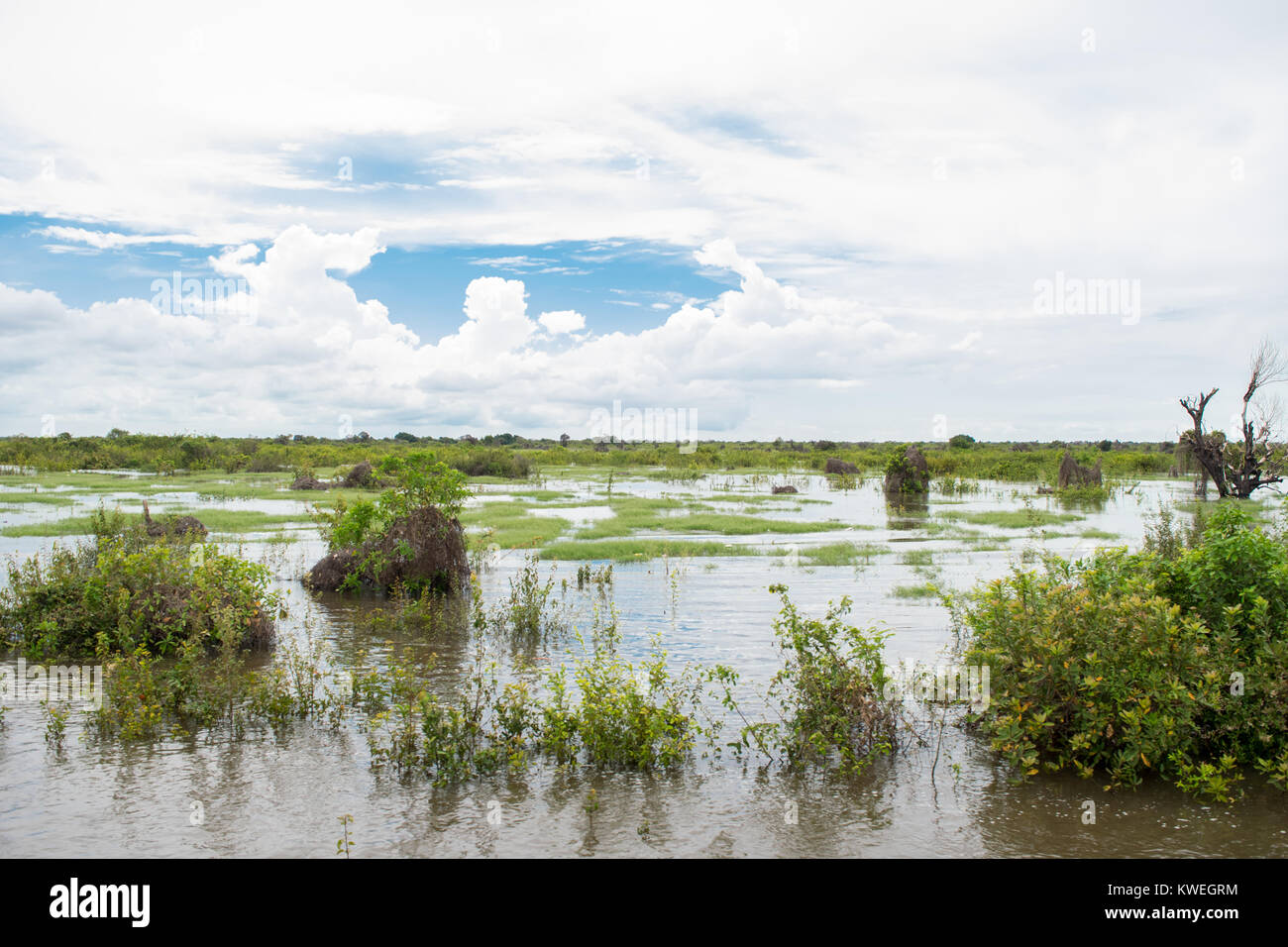 Cambodia natural environment hi-res stock photography and images - Alamy