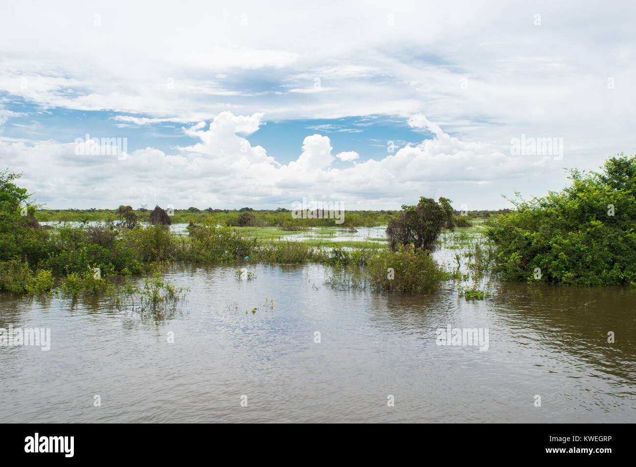 Natural landscape vegetation, as seen from the boat on the way to ...