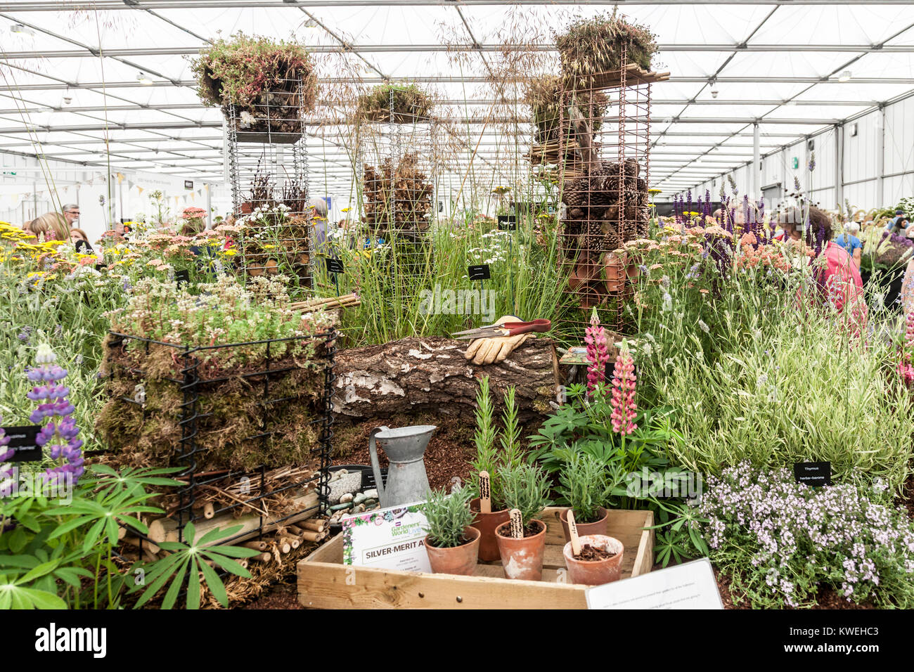 Silver-Merit award winning display of Plants for Pollinators by John ...