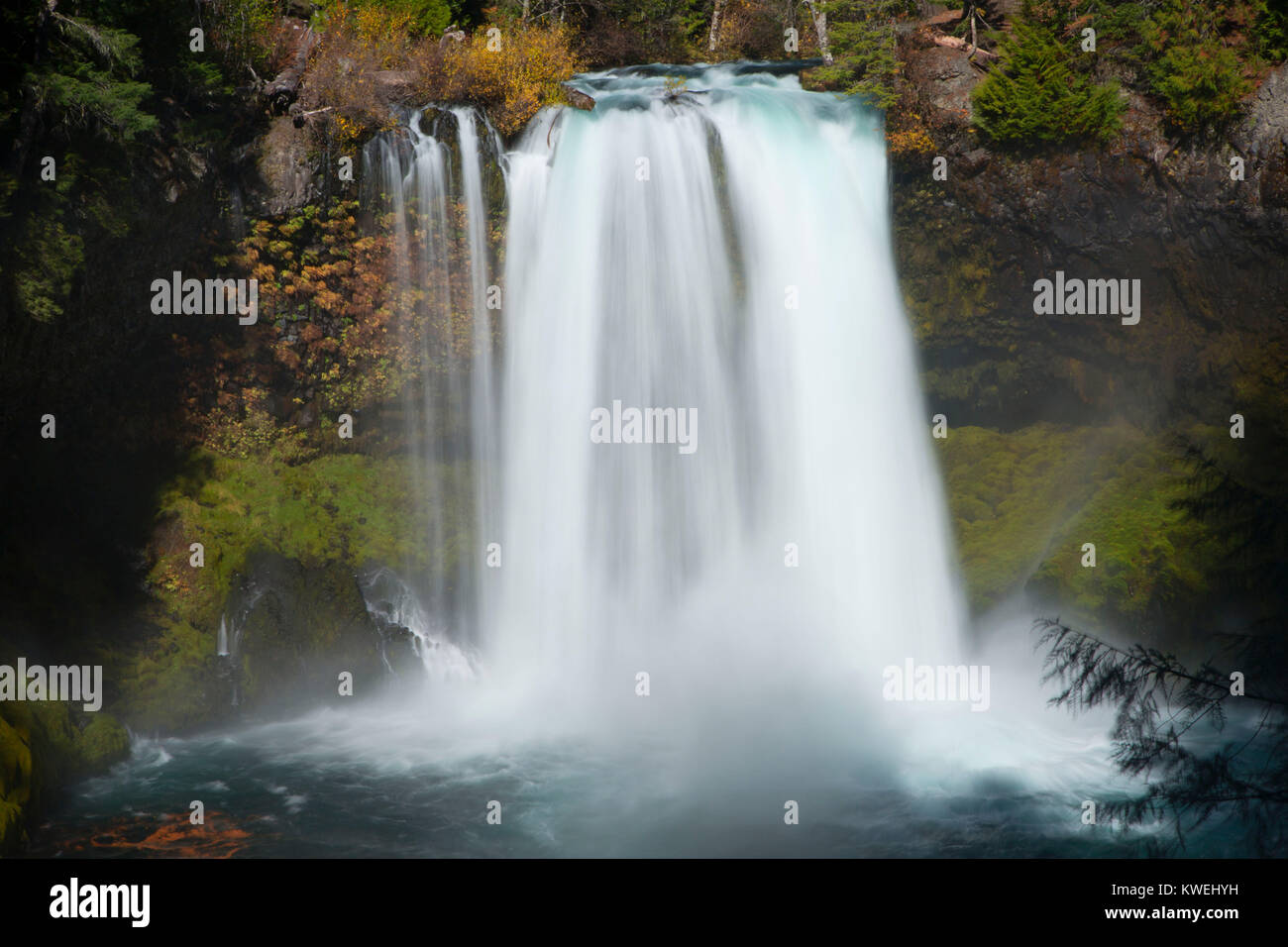 Koosah Falls, McKenzie Wild and Scenic River, McKenzie Pass-Santiam ...