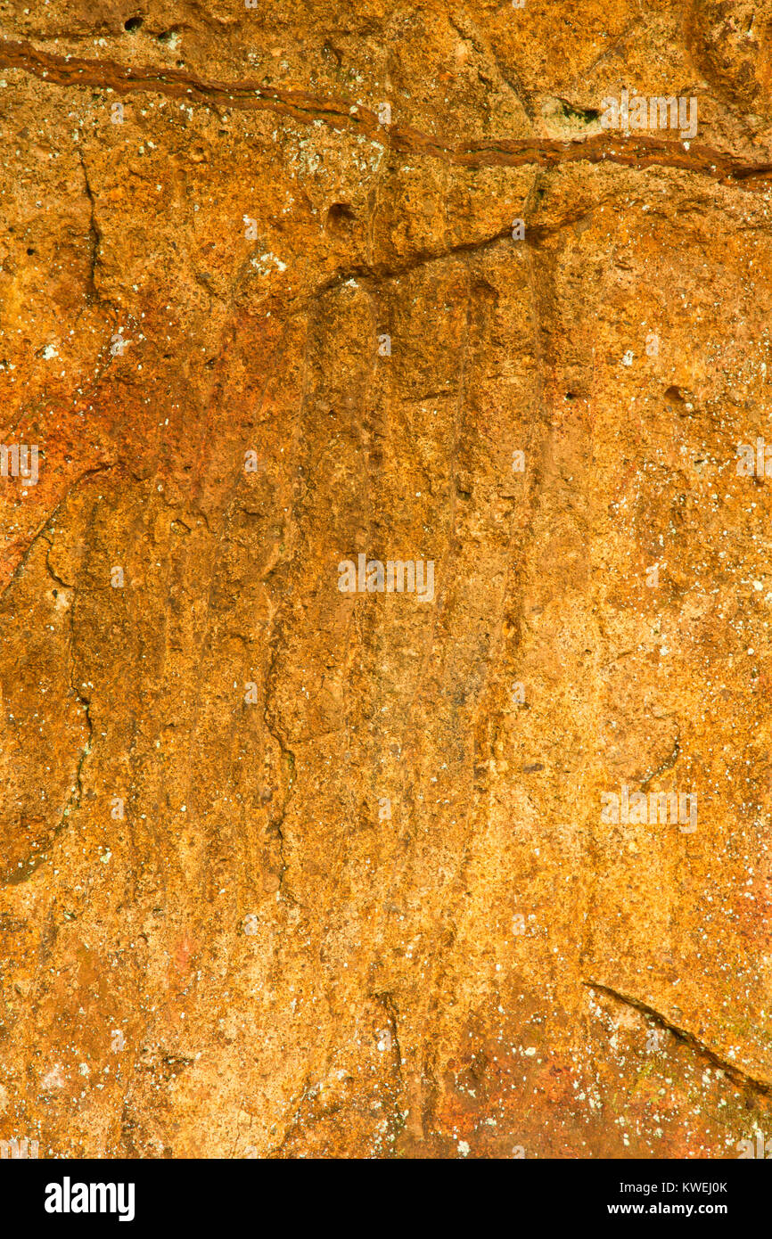 Petroglyphs at Cascadia Cave, Linn County, Oregon Stock Photo - Alamy