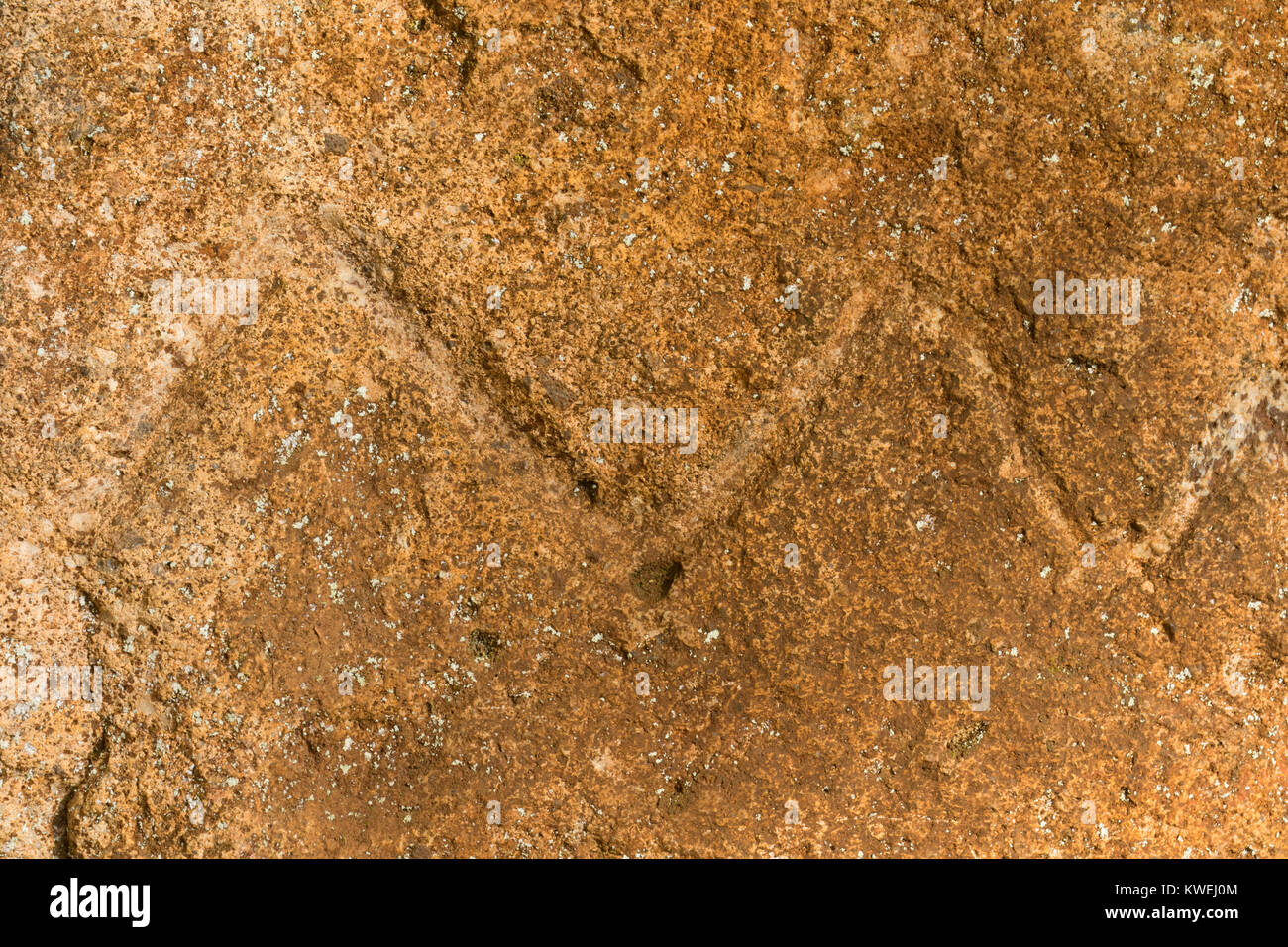 Cascadia state park oregon hi-res stock photography and images - Alamy