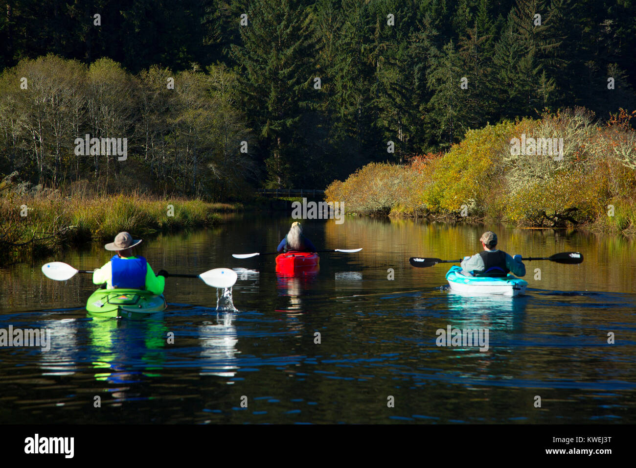 Kayaking on Beaver Creek, Brian Booth State Park, Oregon Stock Photo ...