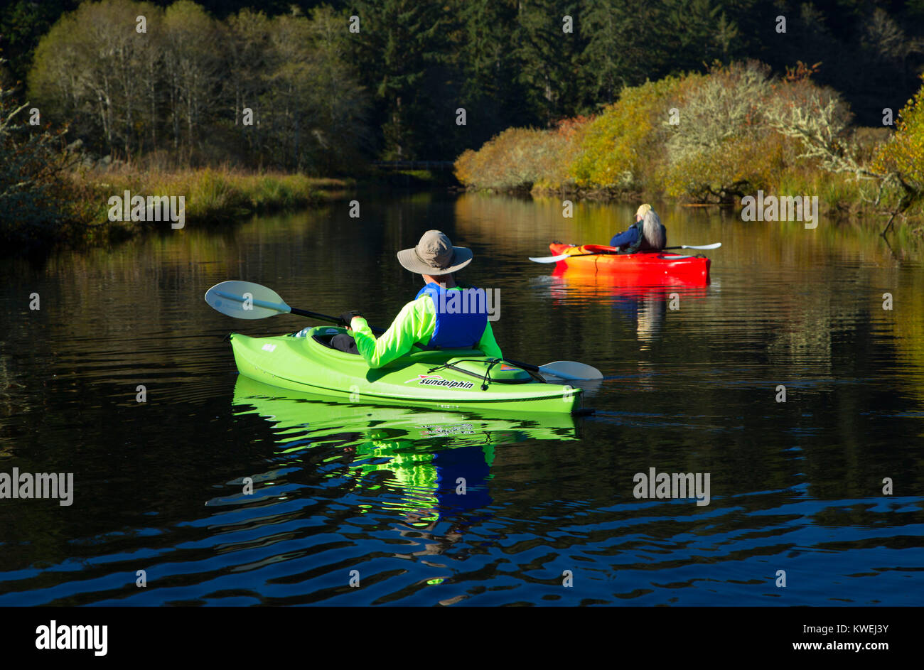 Kayaking on Beaver Creek, Brian Booth State Park, Oregon Stock Photo ...