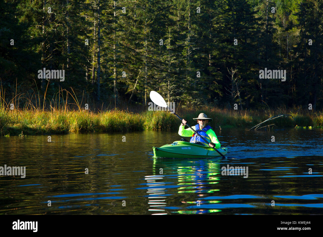 Kayaking on Beaver Creek, Brian Booth State Park, Oregon Stock Photo ...