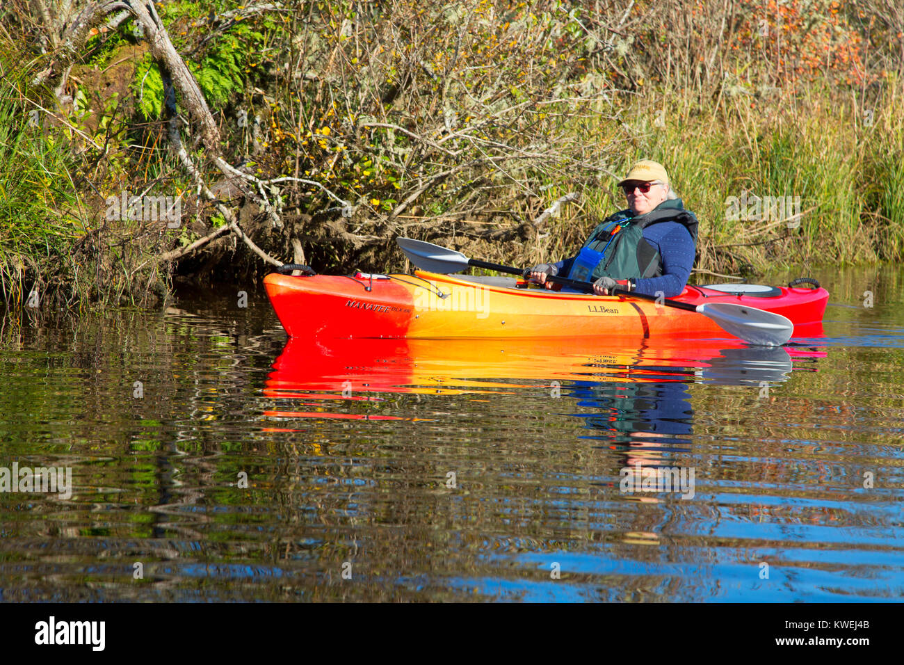 Kayaking on Beaver Creek, Brian Booth State Park, Oregon Stock Photo ...