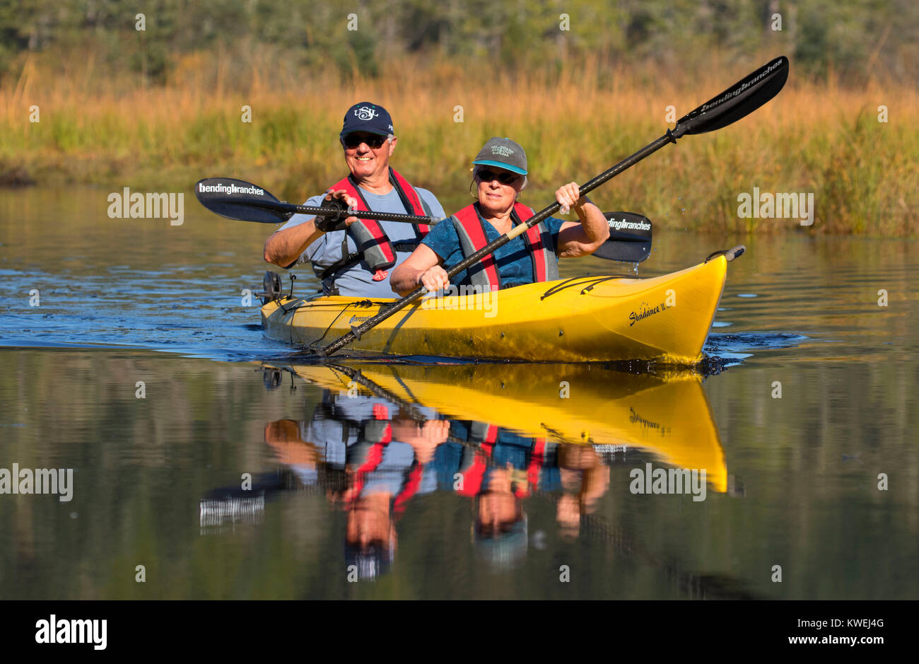 Kayaking on Beaver Creek, Brian Booth State Park, Oregon Stock Photo ...