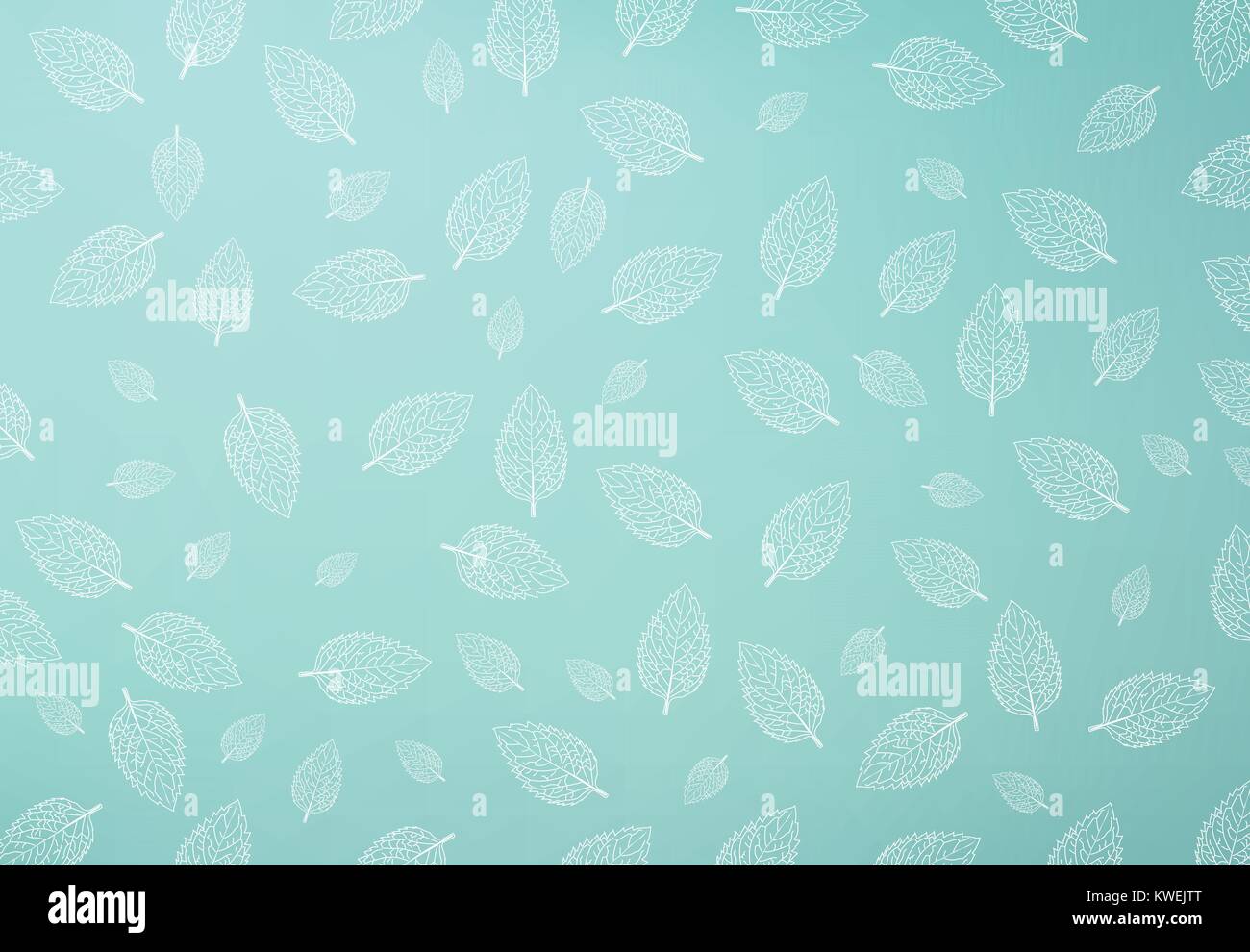 Abstract mint leaves vector illustration hi-res stock photography and ...