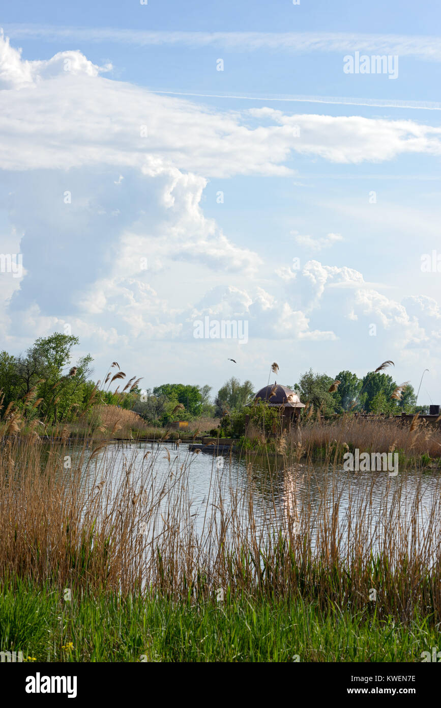 Scenic river nook landscape in bright sunlight of spring afternoon in ...