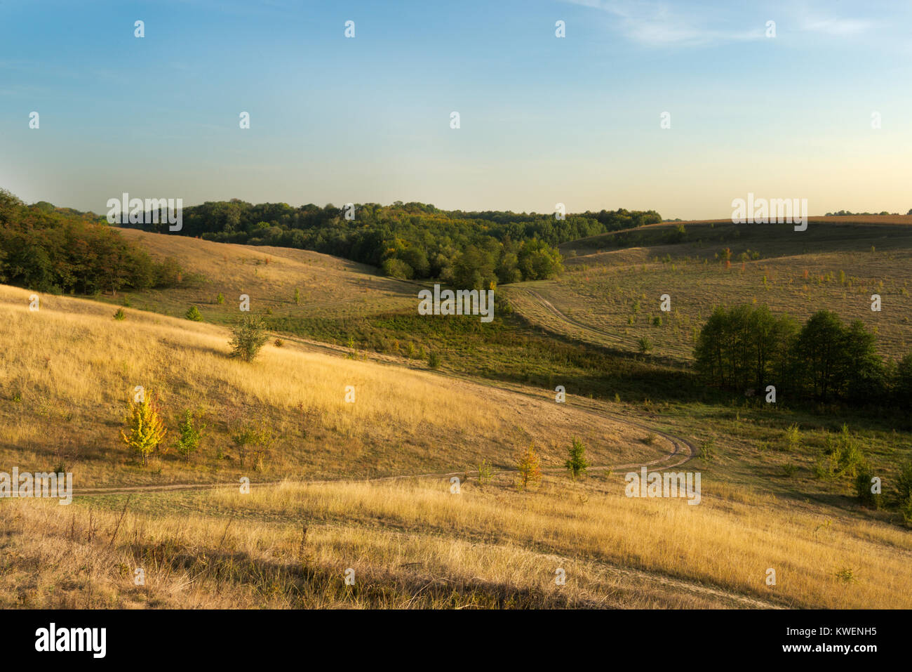 Ukarine hi-res stock photography and images - Alamy