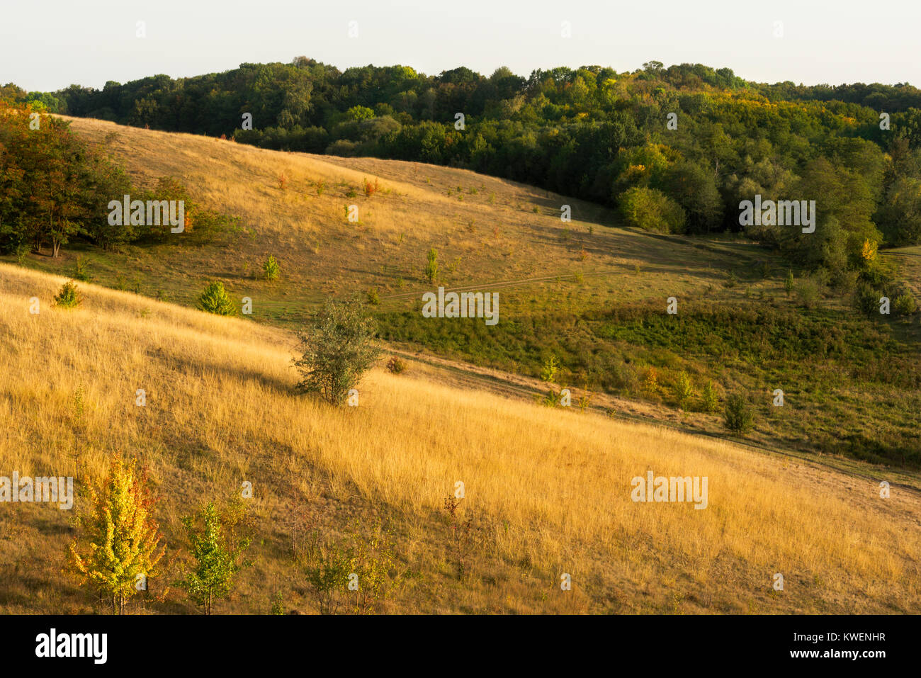 autumn landscape, Ukraine Stock Photo - Alamy