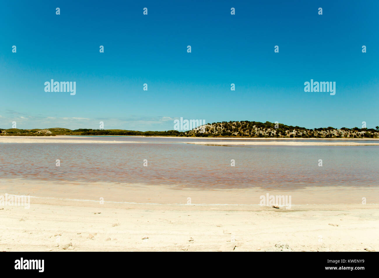 Pink Lake - Rottnest Island - Australia Stock Photo - Alamy