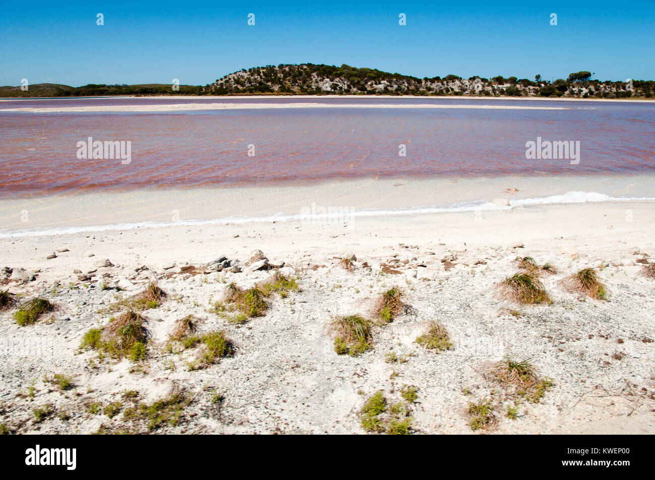 Pink lake australia hi-res stock photography and images - Alamy