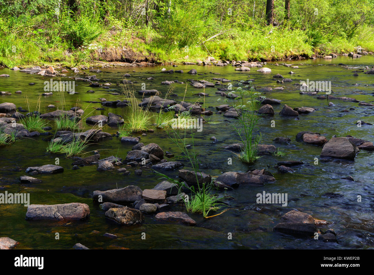 Beautiful landscape rapids on a river in sunlight Stock Photo - Alamy