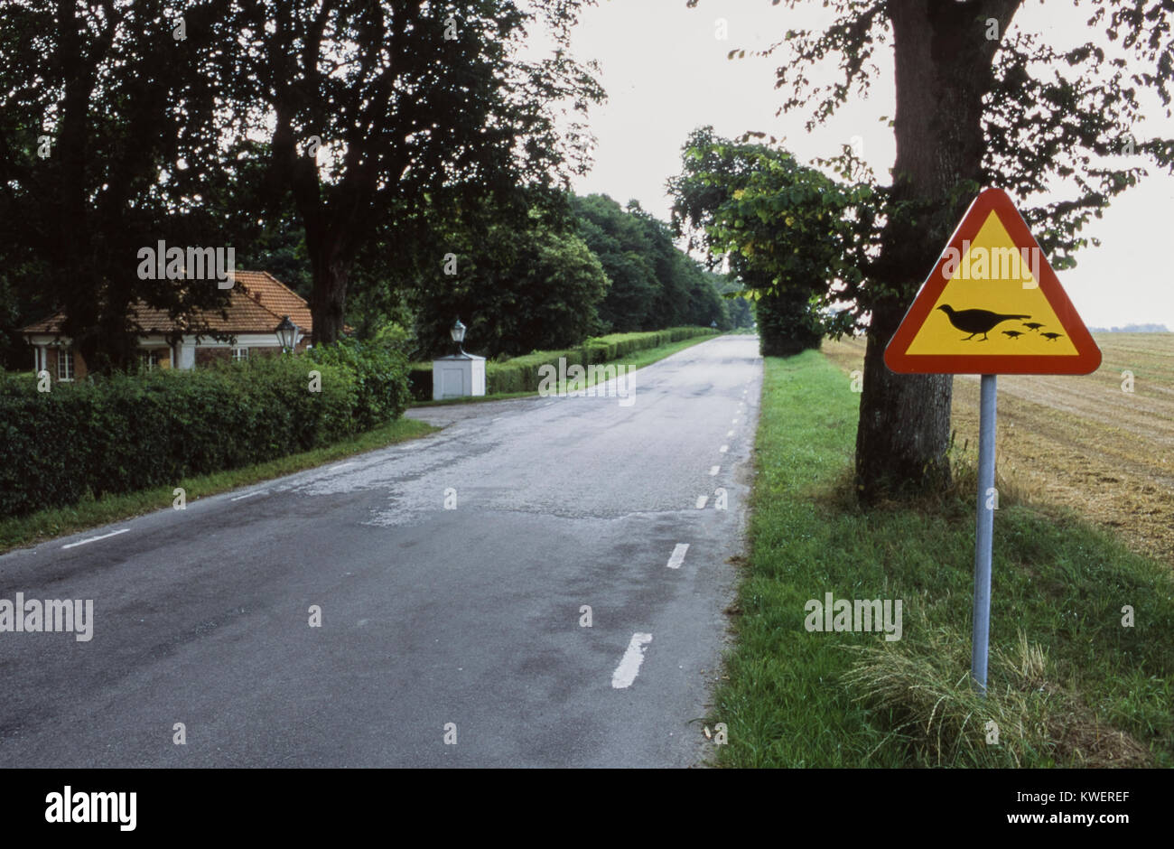Traffic warning symbol hi-res stock photography and images - Alamy
