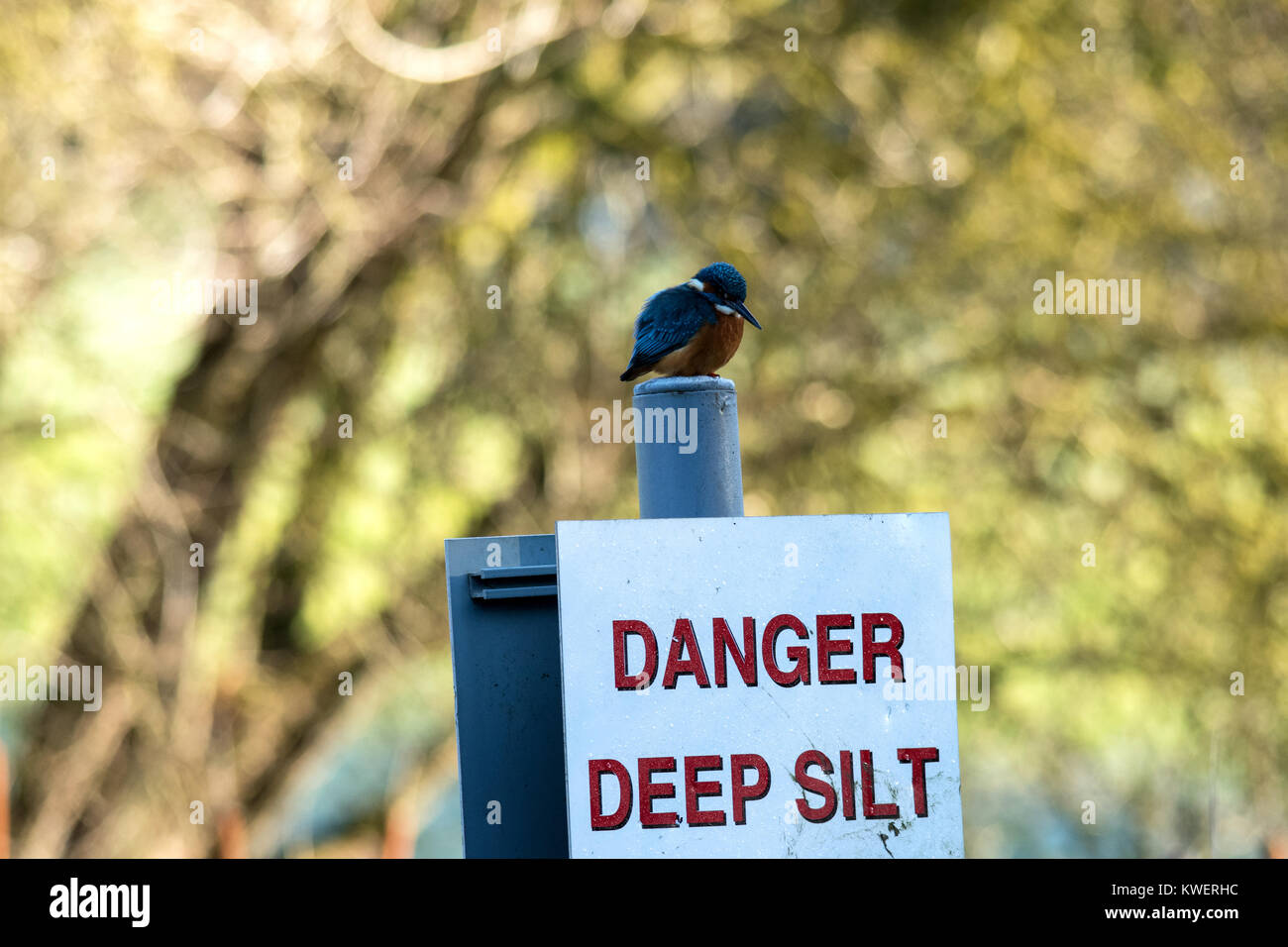 Kingfisher no fishing sign hi-res stock photography and images - Alamy
