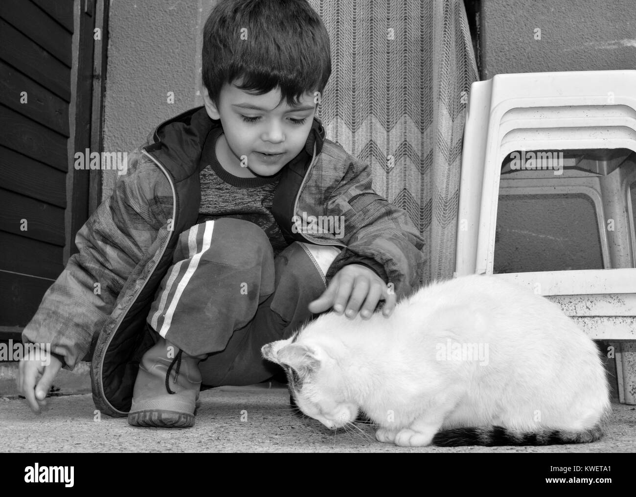 Boy cat Black and White Stock Photos & Images - Alamy
