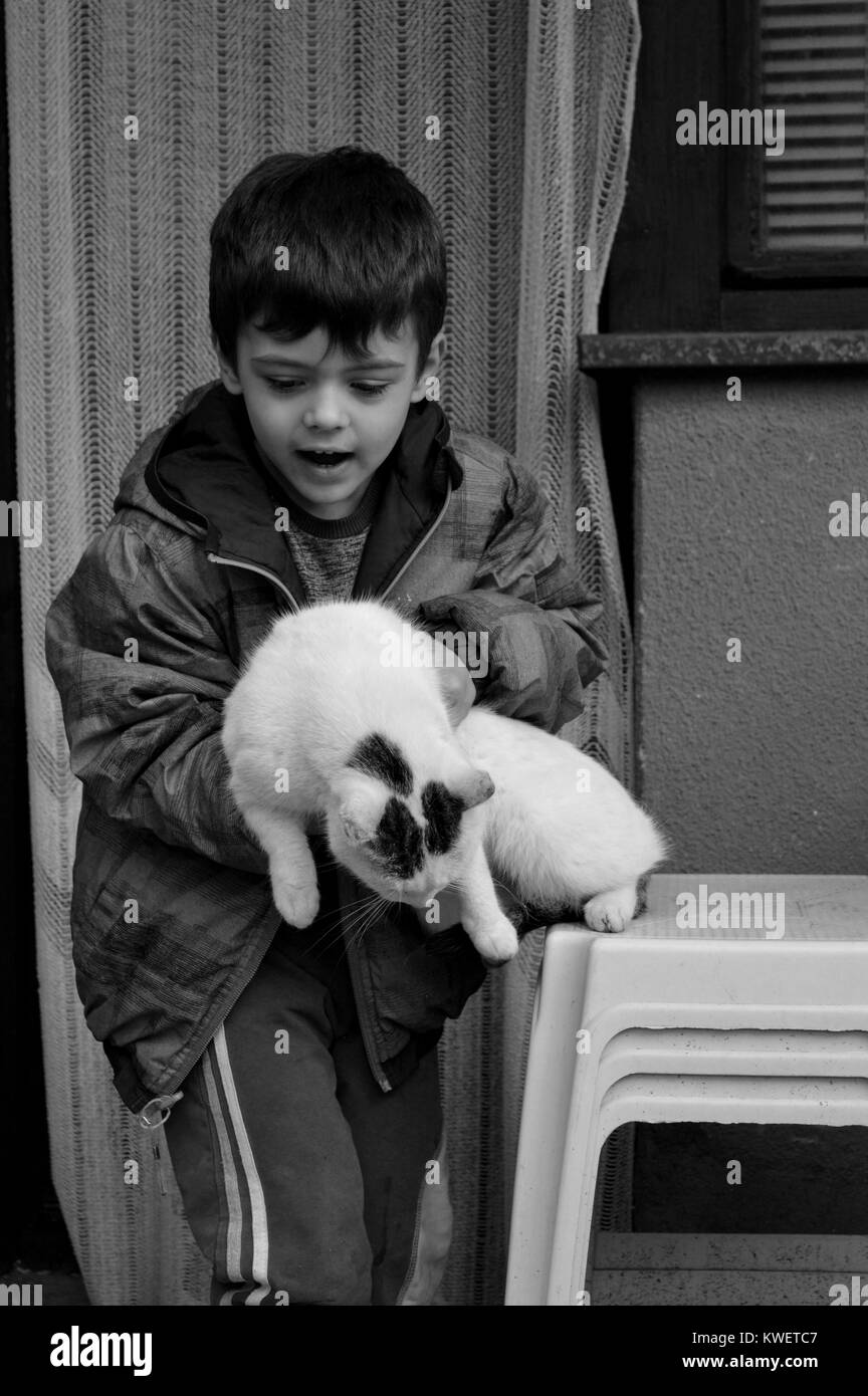 Boy pet black cat Black and White Stock Photos & Images - Alamy