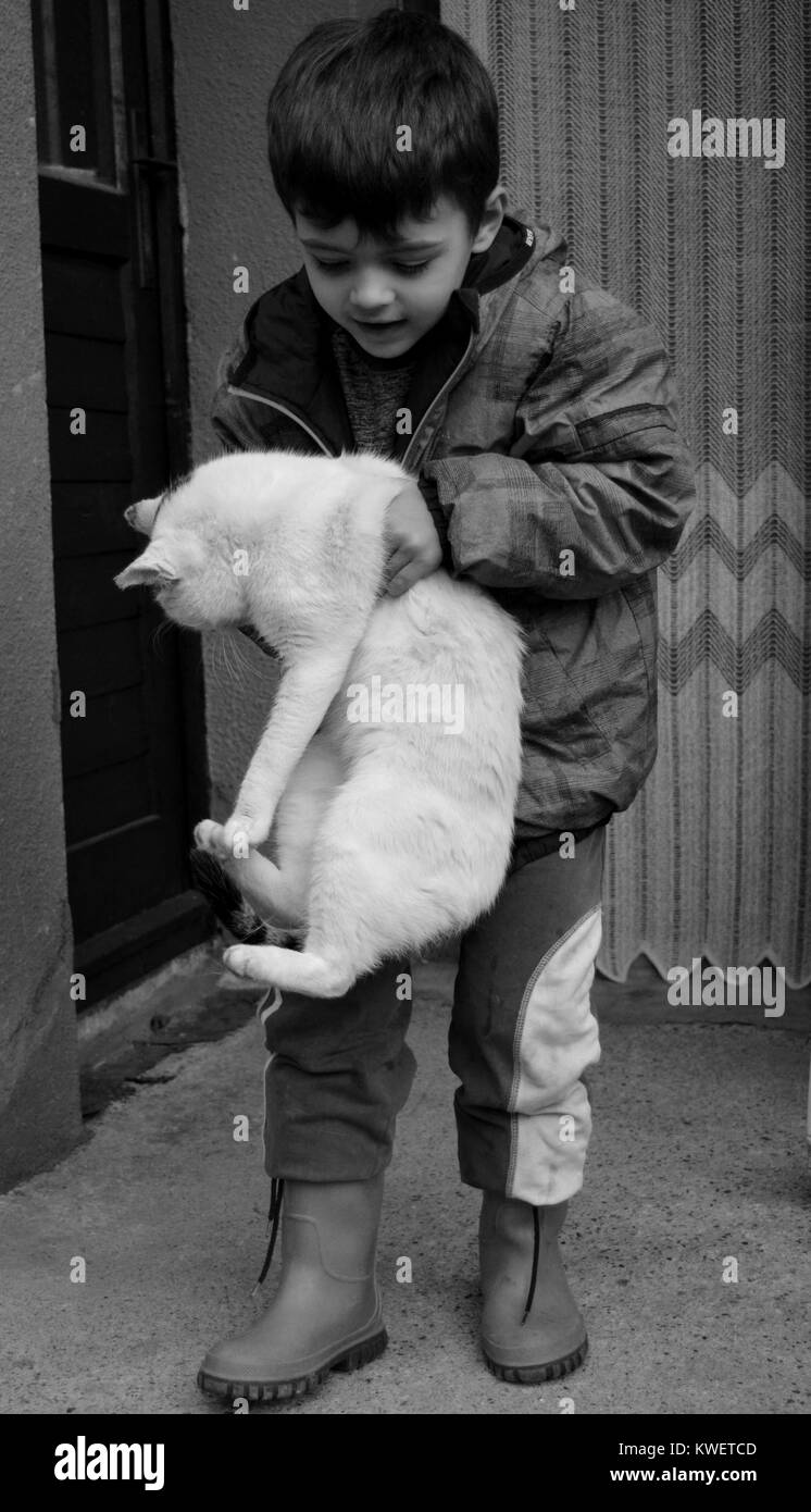 Boy cat Black and White Stock Photos & Images - Alamy