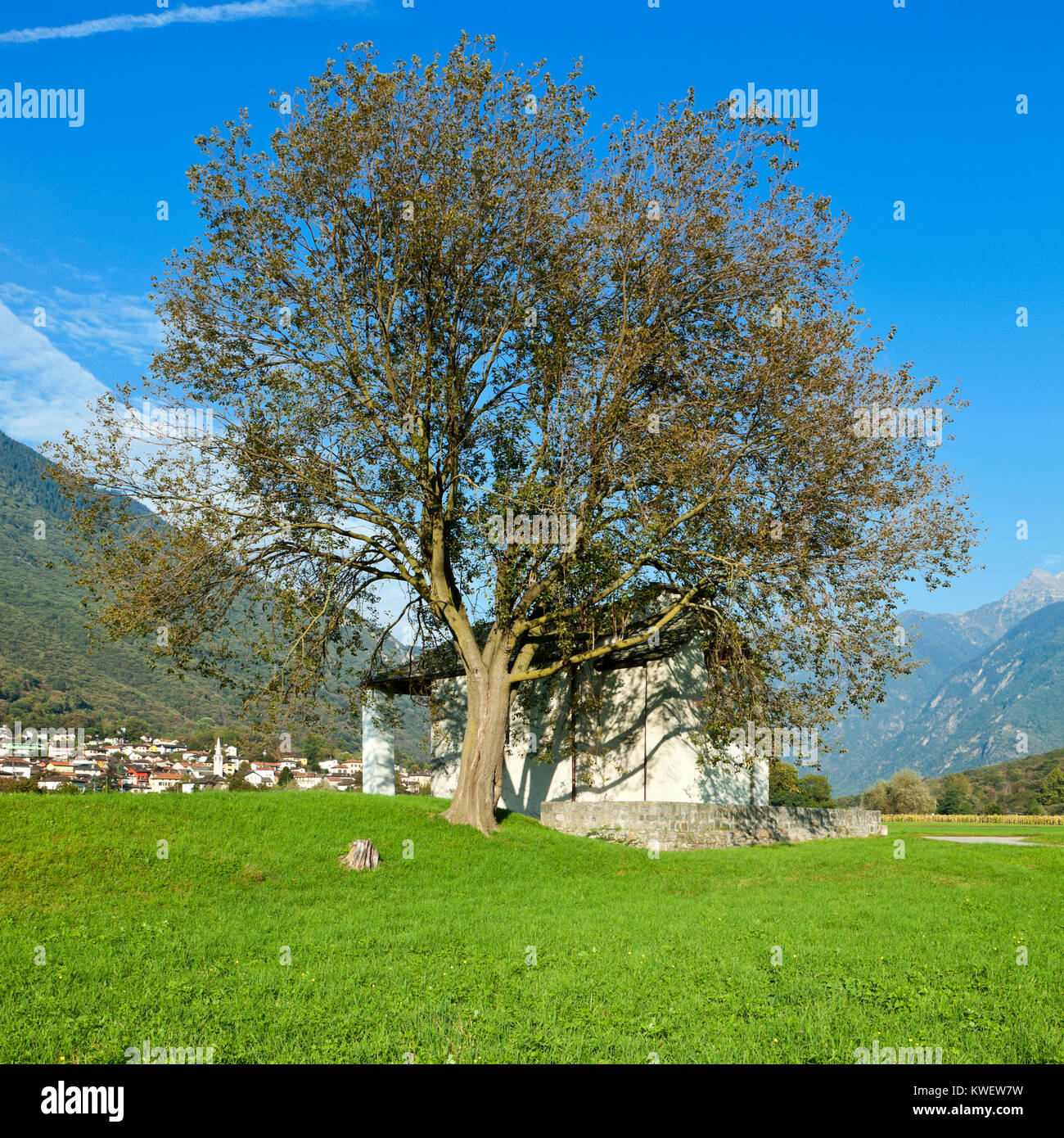 mountain landscape with tree and small church Stock Photo - Alamy