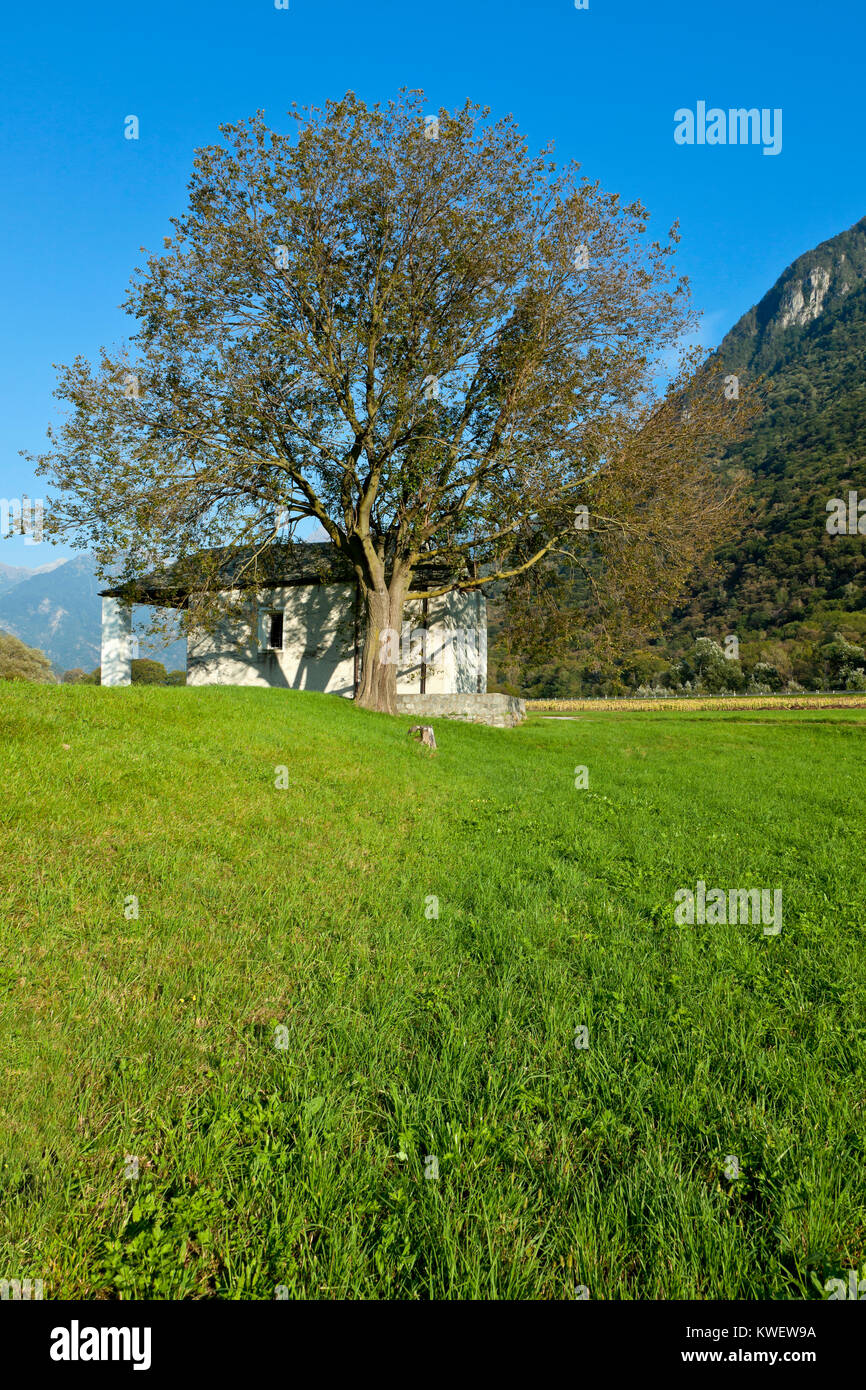 mountain landscape with tree and small church Stock Photo - Alamy