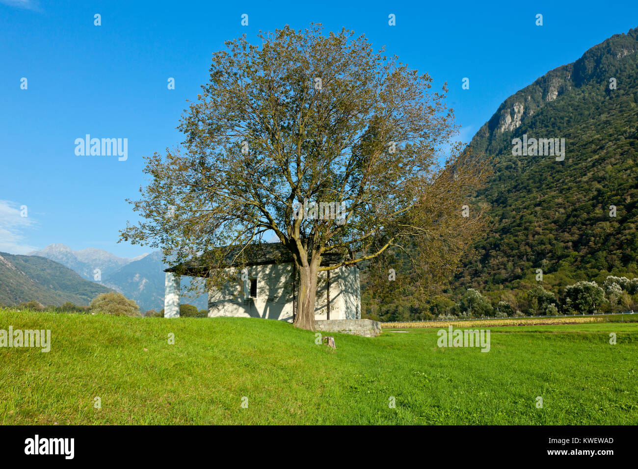 mountain landscape with tree and small church Stock Photo - Alamy