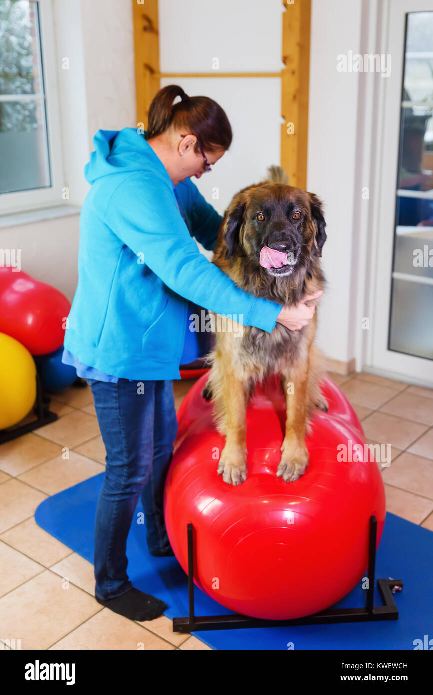Training devices hi-res stock photography and images - Alamy