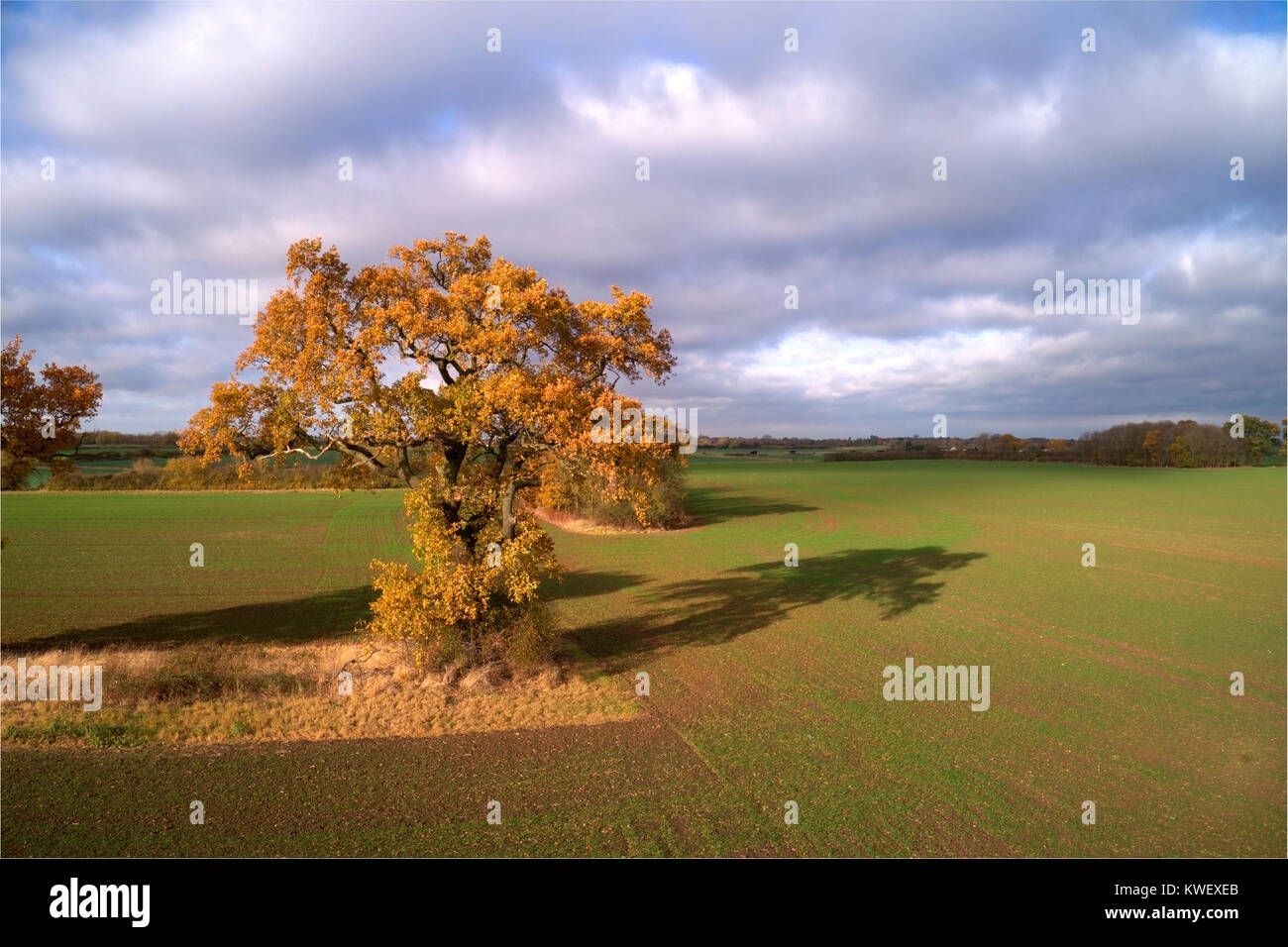 Aerial photography cambridgeshire hi-res stock photography and images ...