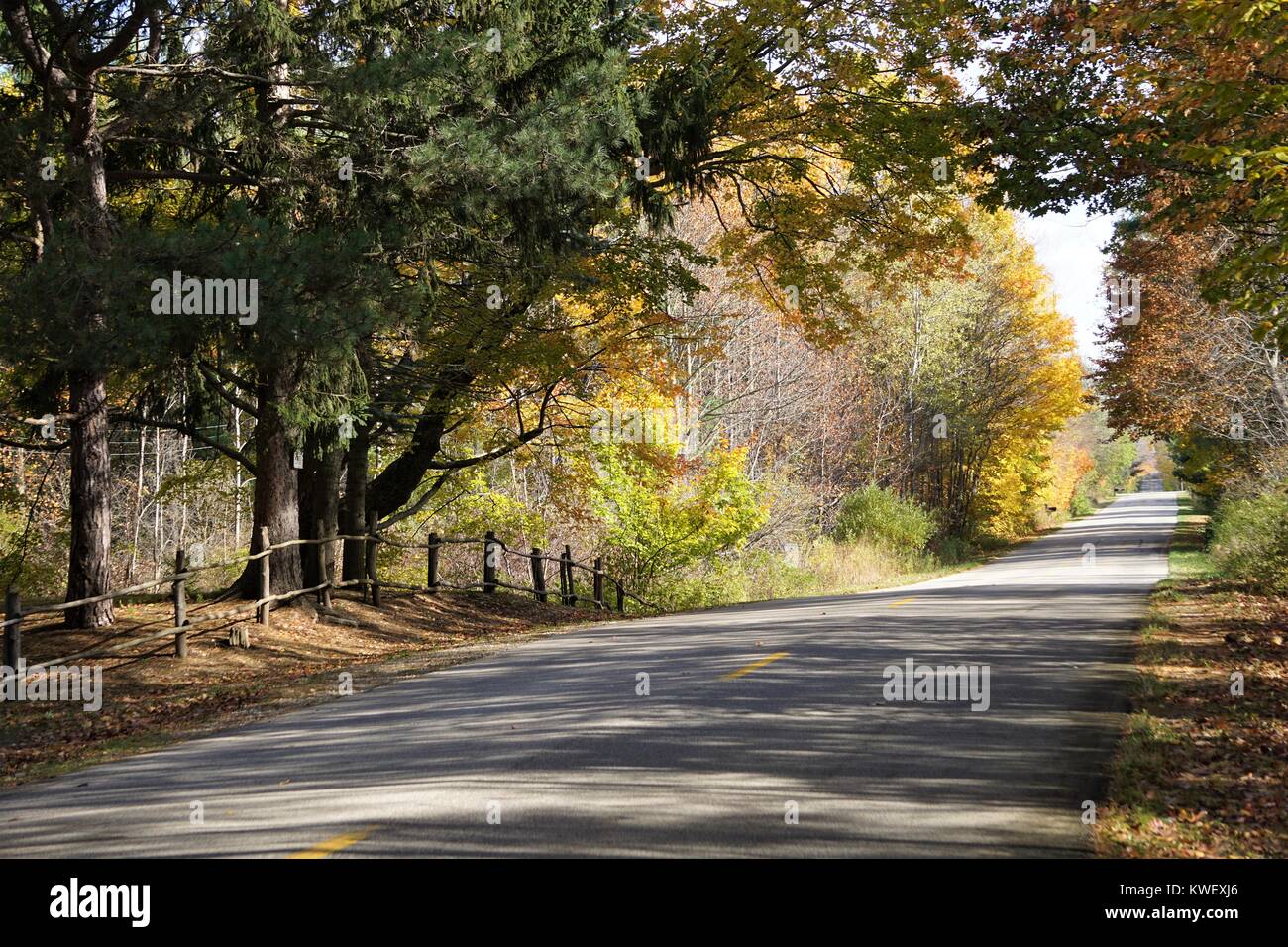 Road in peaceful rural hi-res stock photography and images - Alamy