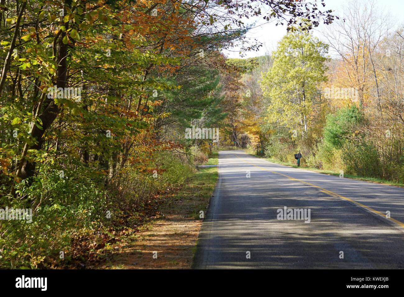 Road in peaceful rural hi-res stock photography and images - Alamy