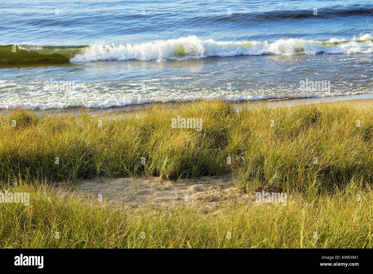 Waves at the Beach in Autumn Stock Photo - Alamy