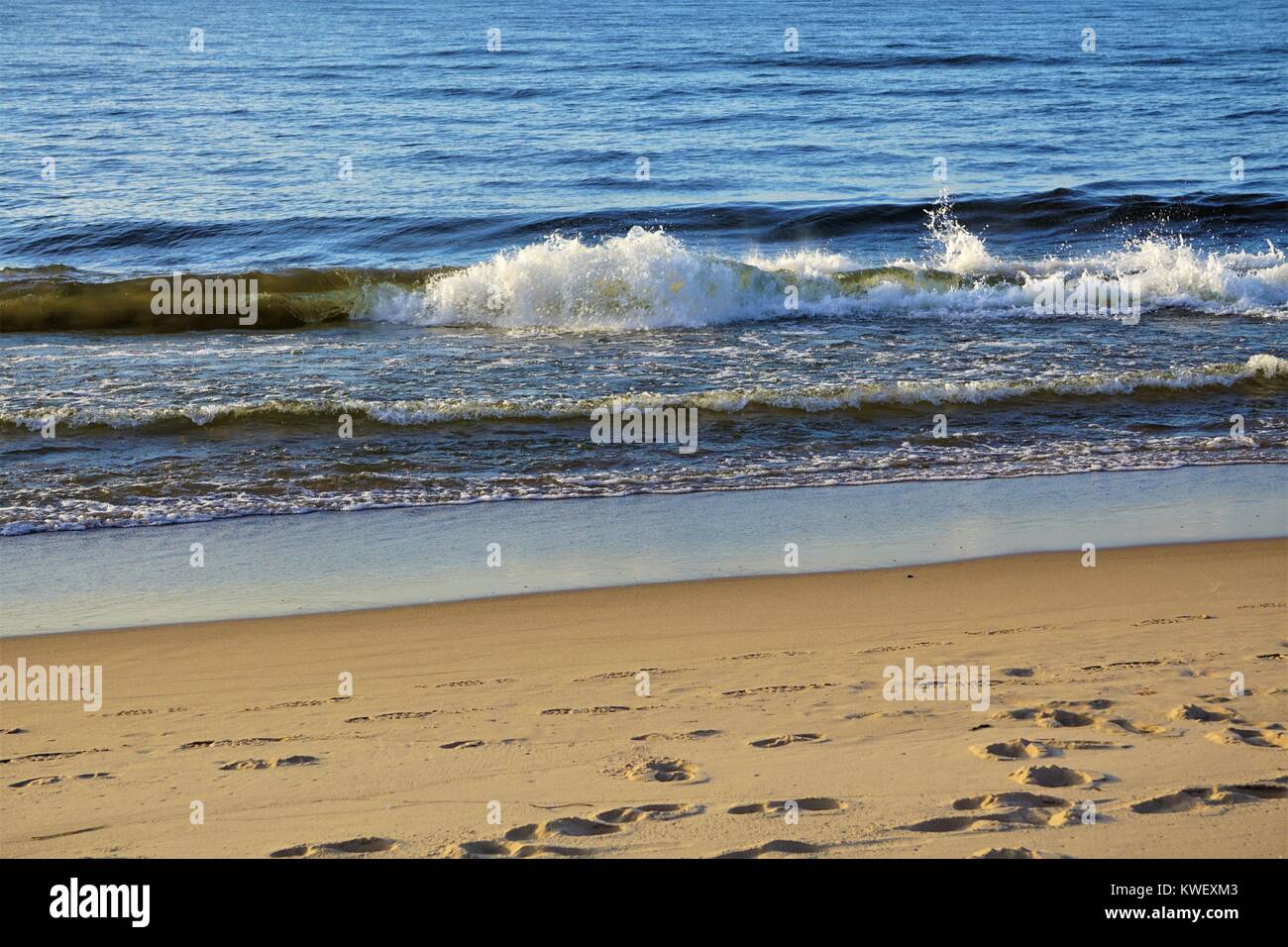 Fall beach grass hi-res stock photography and images - Alamy