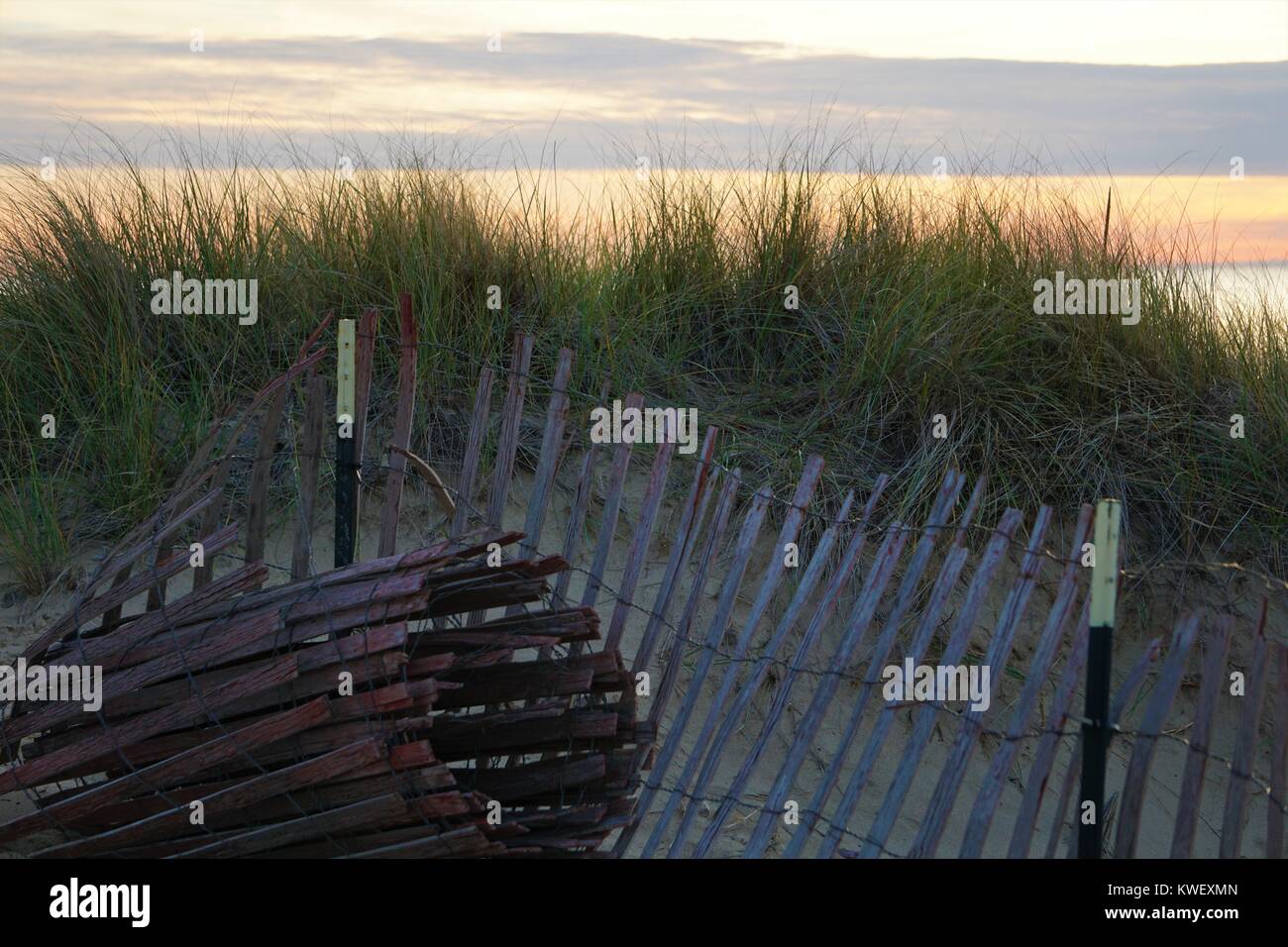 Pale Sunset at Winterized Beach Stock Photo - Alamy