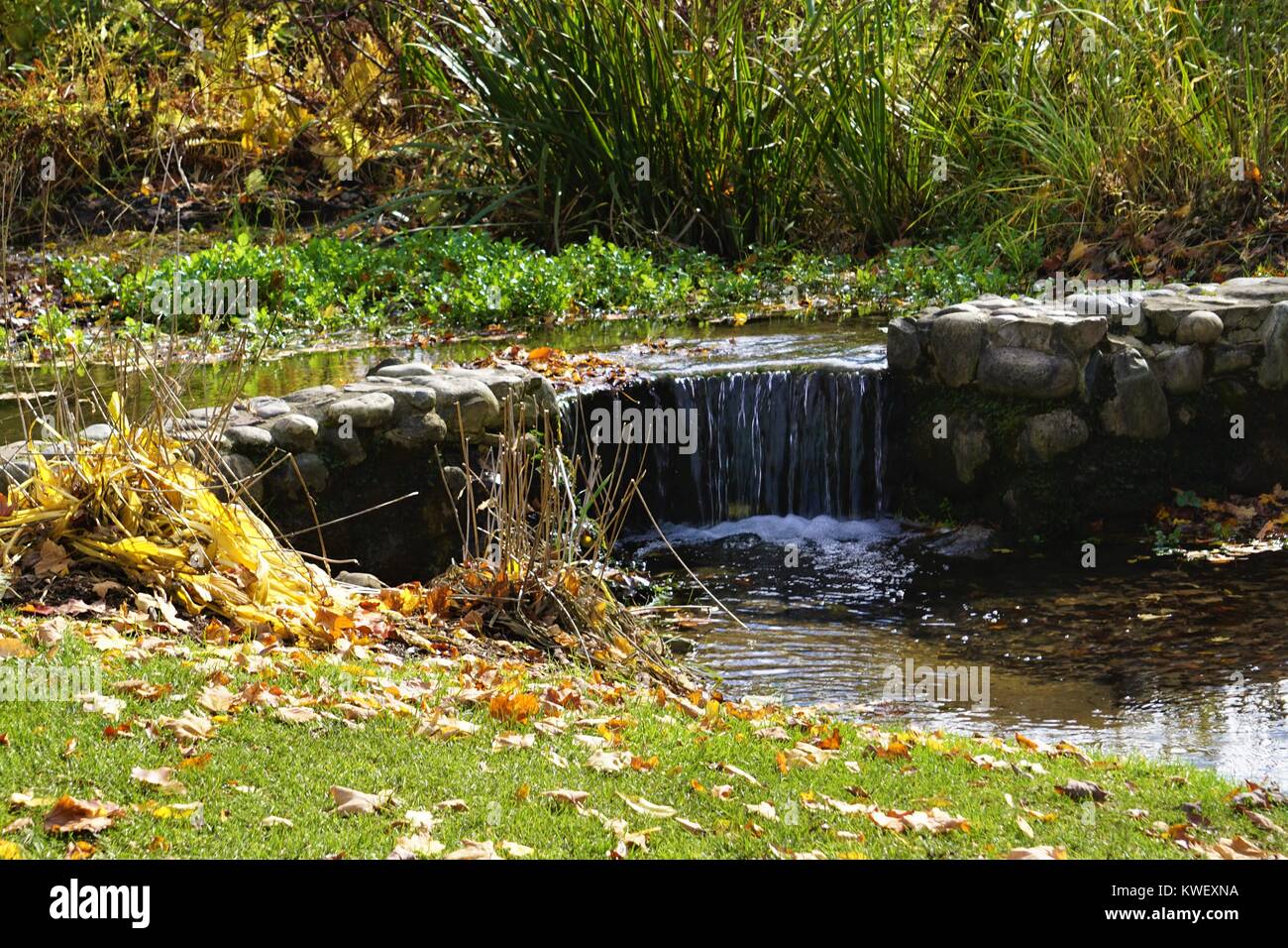 Little Woodland Stream and Waterfall Stock Photo - Alamy