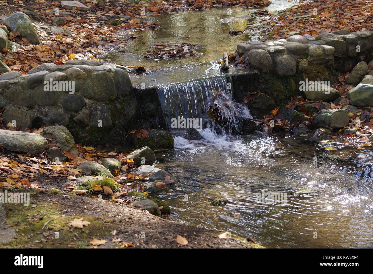 Little Woodland Stream and Waterfall Stock Photo - Alamy