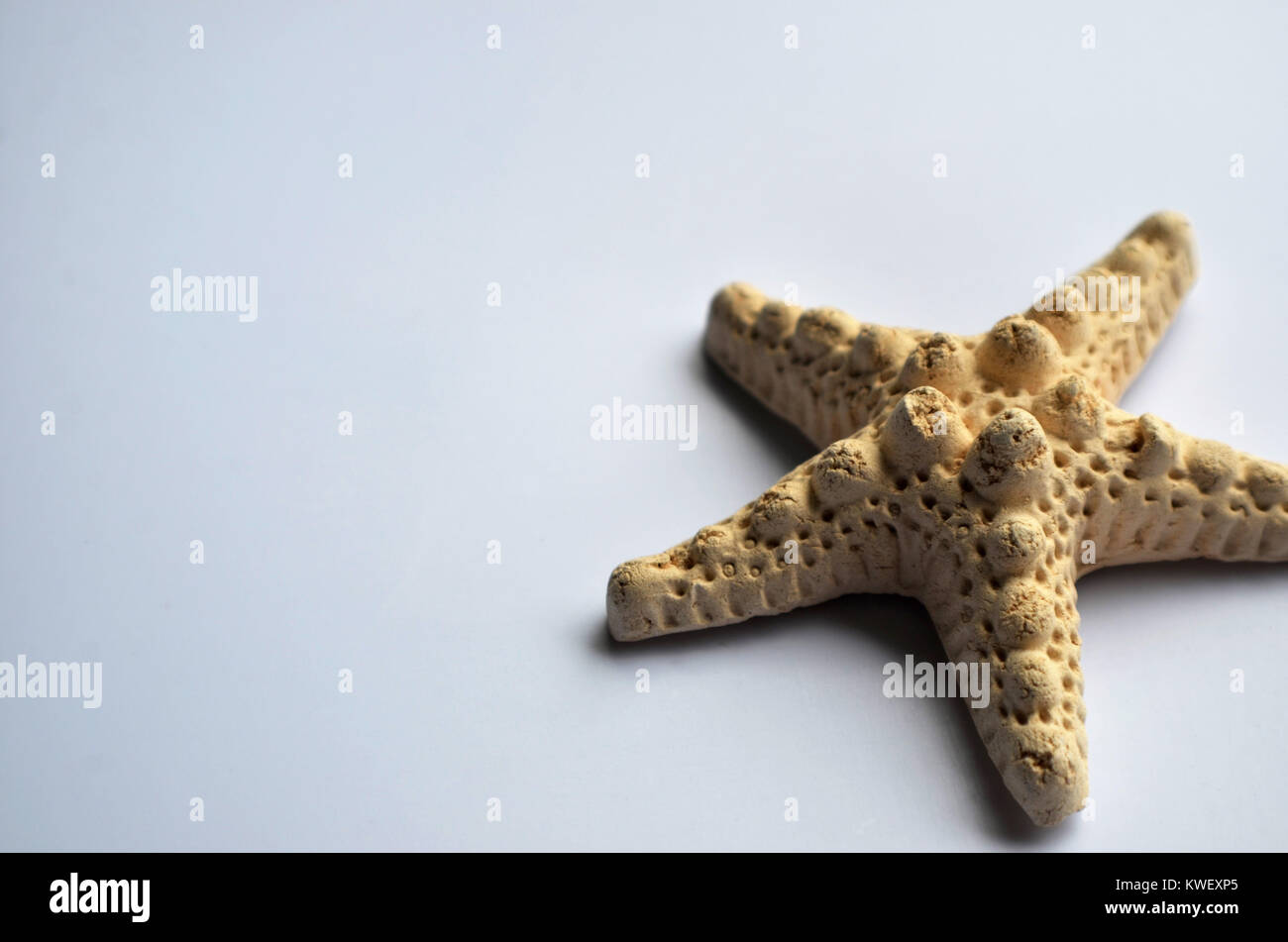 Starfish wallpaper hi-res stock photography and images - Alamy