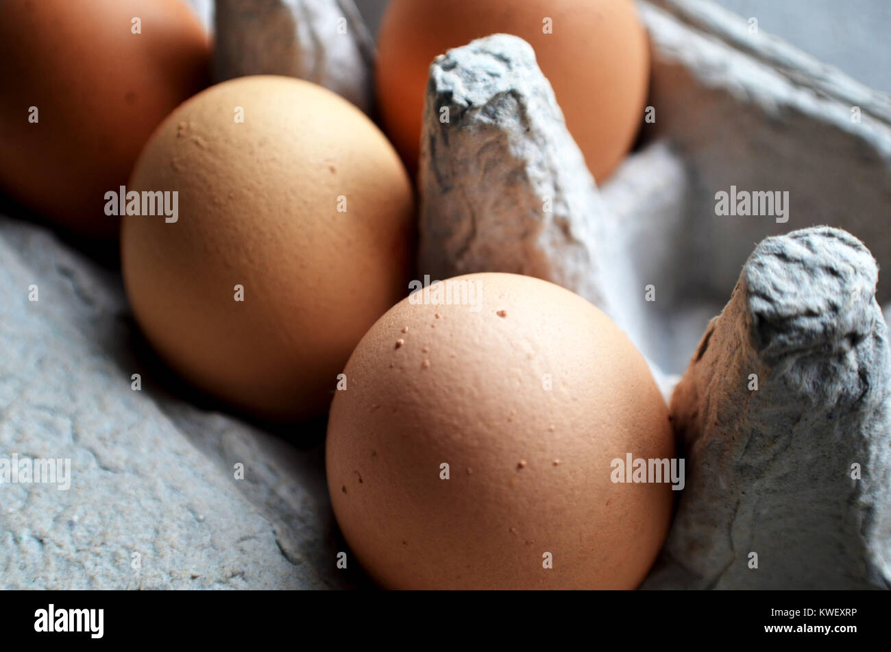 Eggs in an egg box Stock Photo - Alamy