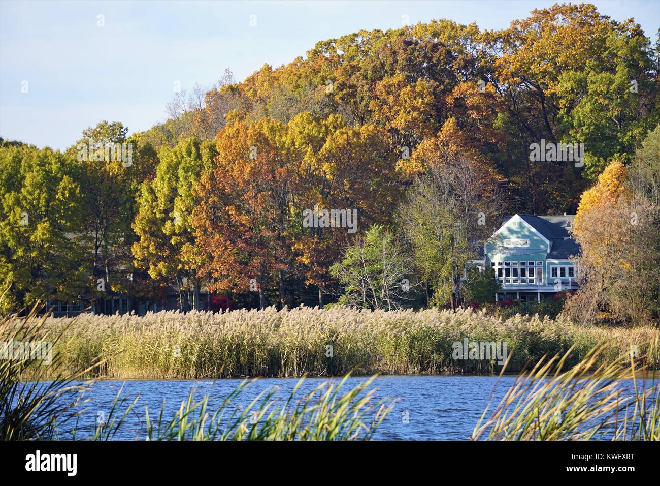 Bayou country hi-res stock photography and images - Alamy