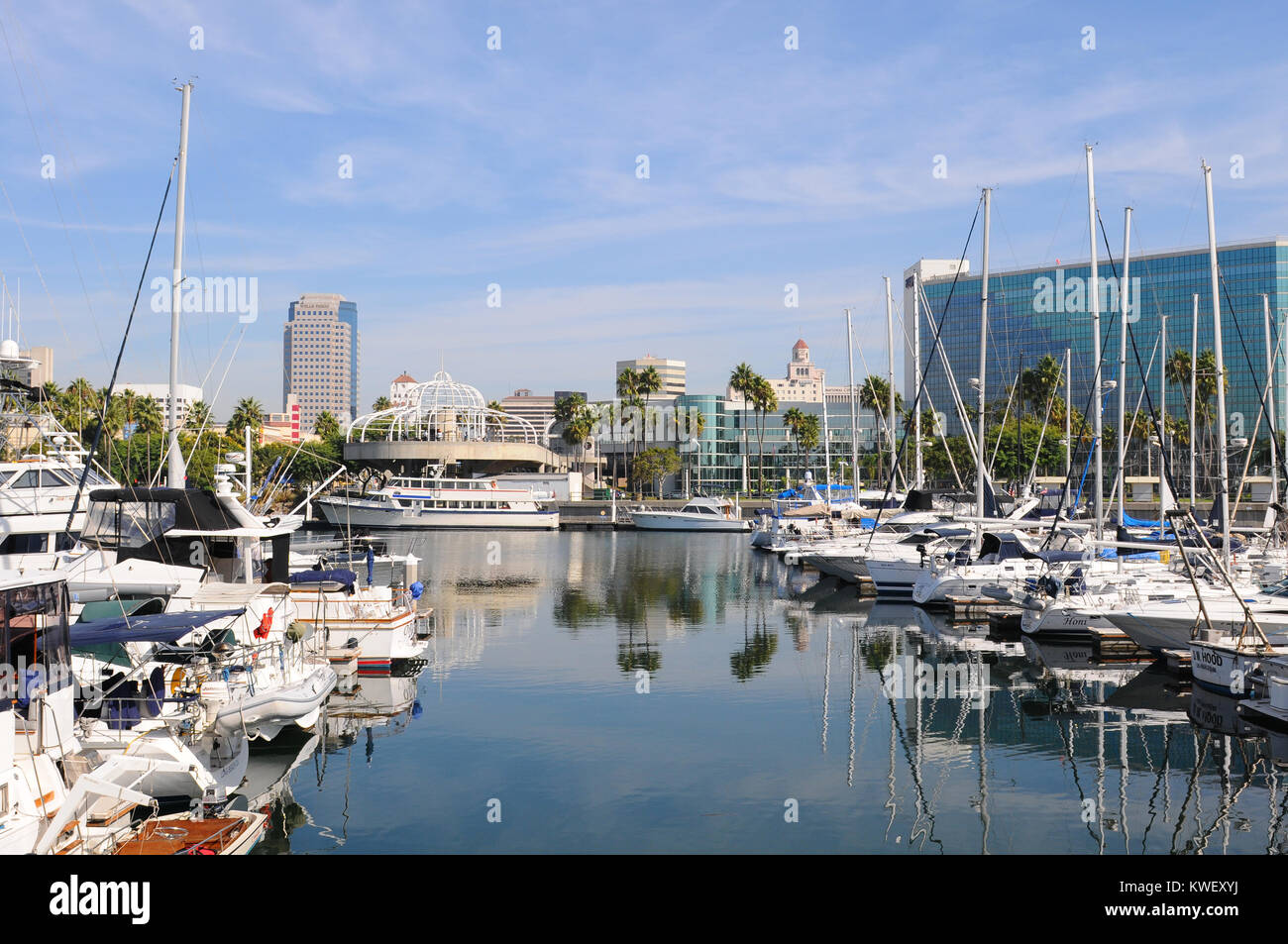 City skyline ocean hi-res stock photography and images - Alamy
