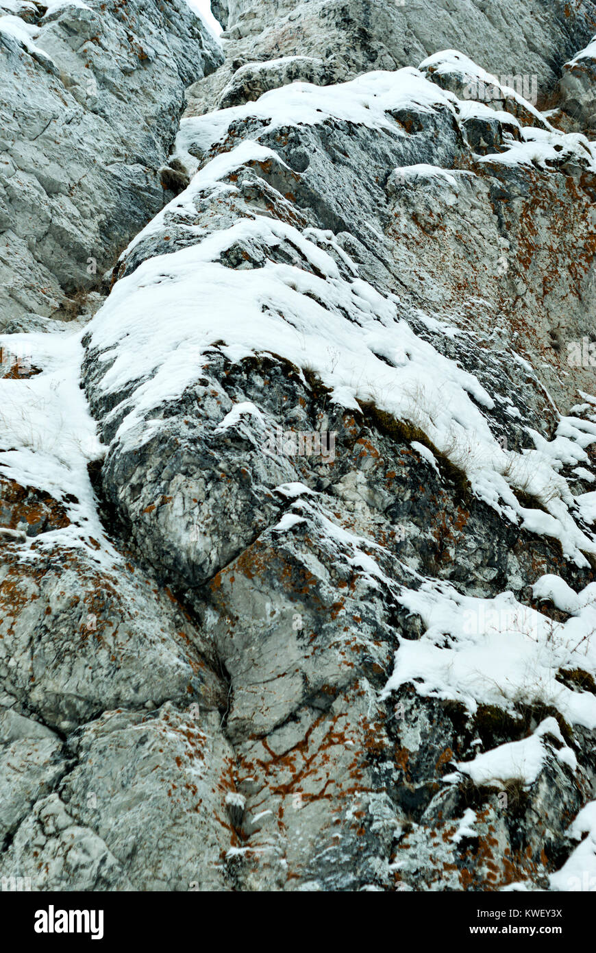 vertical background: a fragment of the wall of a natural cliff with ...