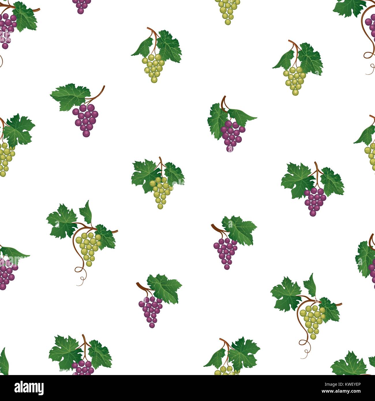 Grape branch seamless pattern. Wine yard natural fruit ornament. Food ...