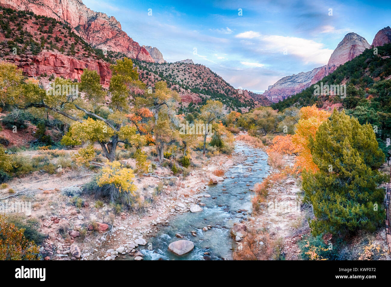 Trees along virgin river hi-res stock photography and images - Alamy
