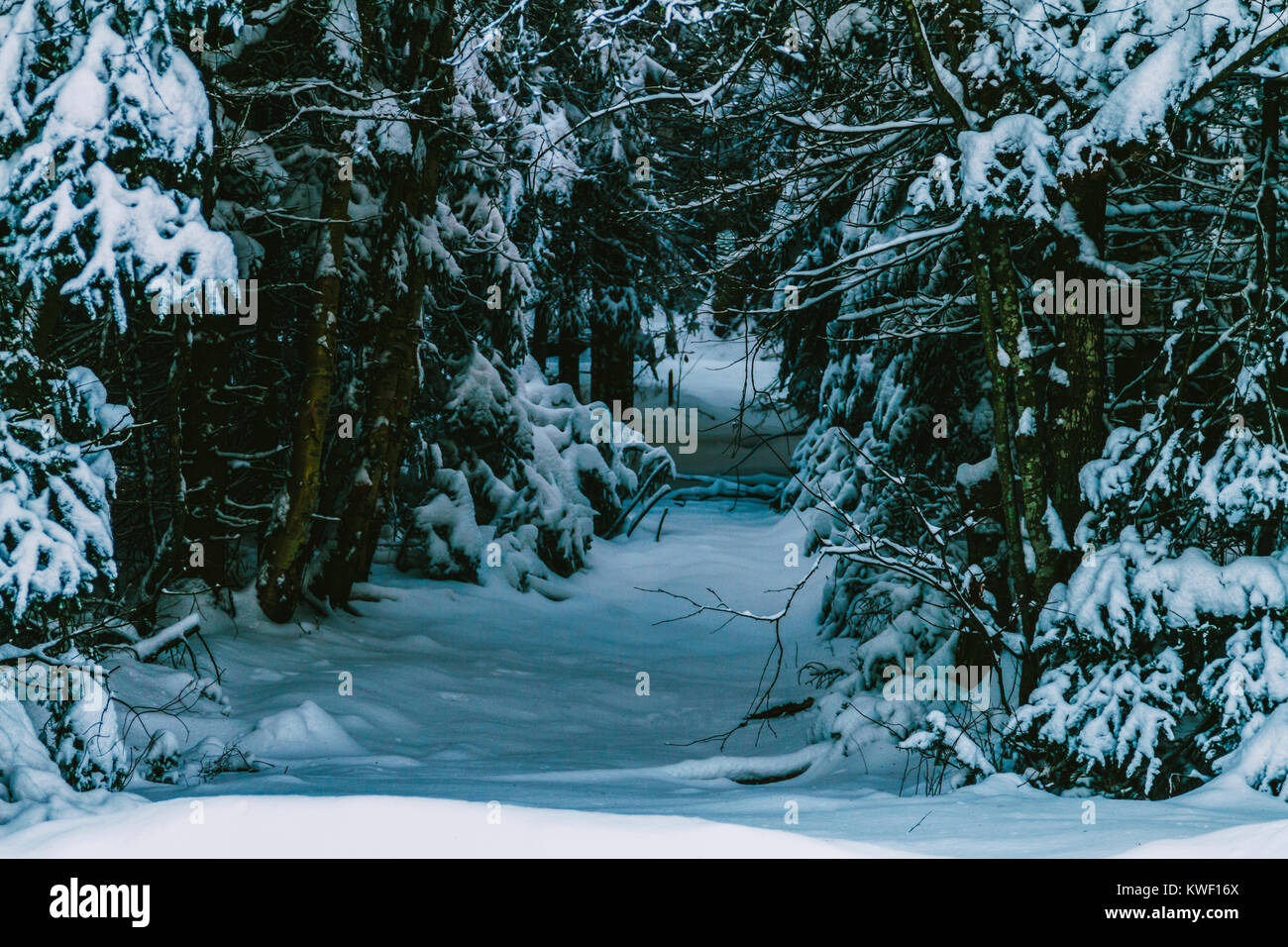 Mystery cold hi-res stock photography and images - Alamy