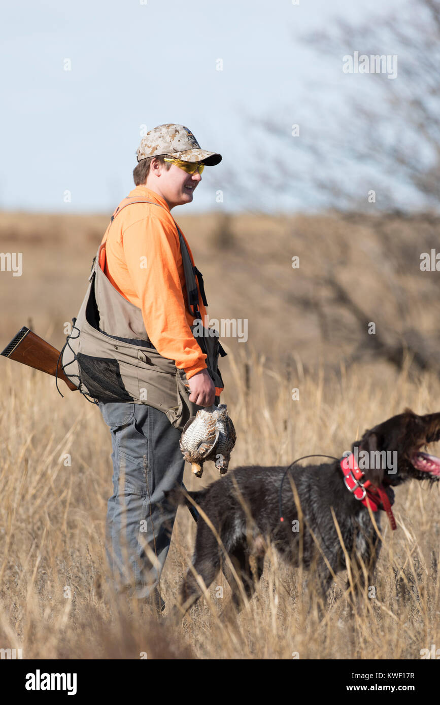 A young Quail hunter in Kansas on a late Autumn day with Bobwhite Quail ...